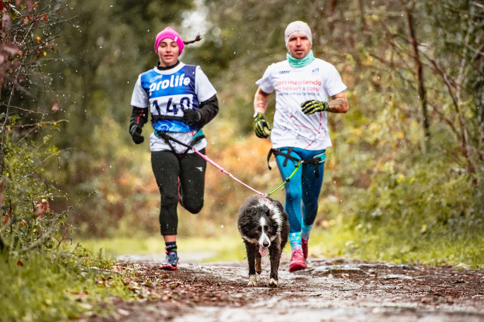 Campionati italiani di canicross: in gara anche la ravennate Maya Moni ...